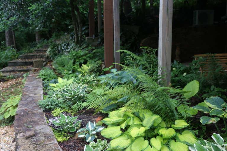 Partner Spotlight: Chris Boles - Freshwater Land Trust