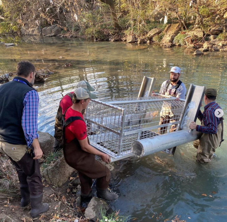 Data released from Litter Gitter pilot project - Freshwater Land Trust