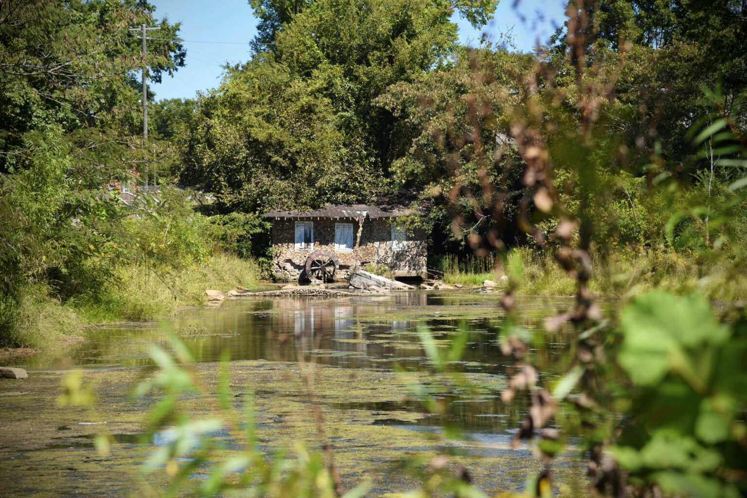 Endangered Species Tour 2022 - Freshwater Land Trust