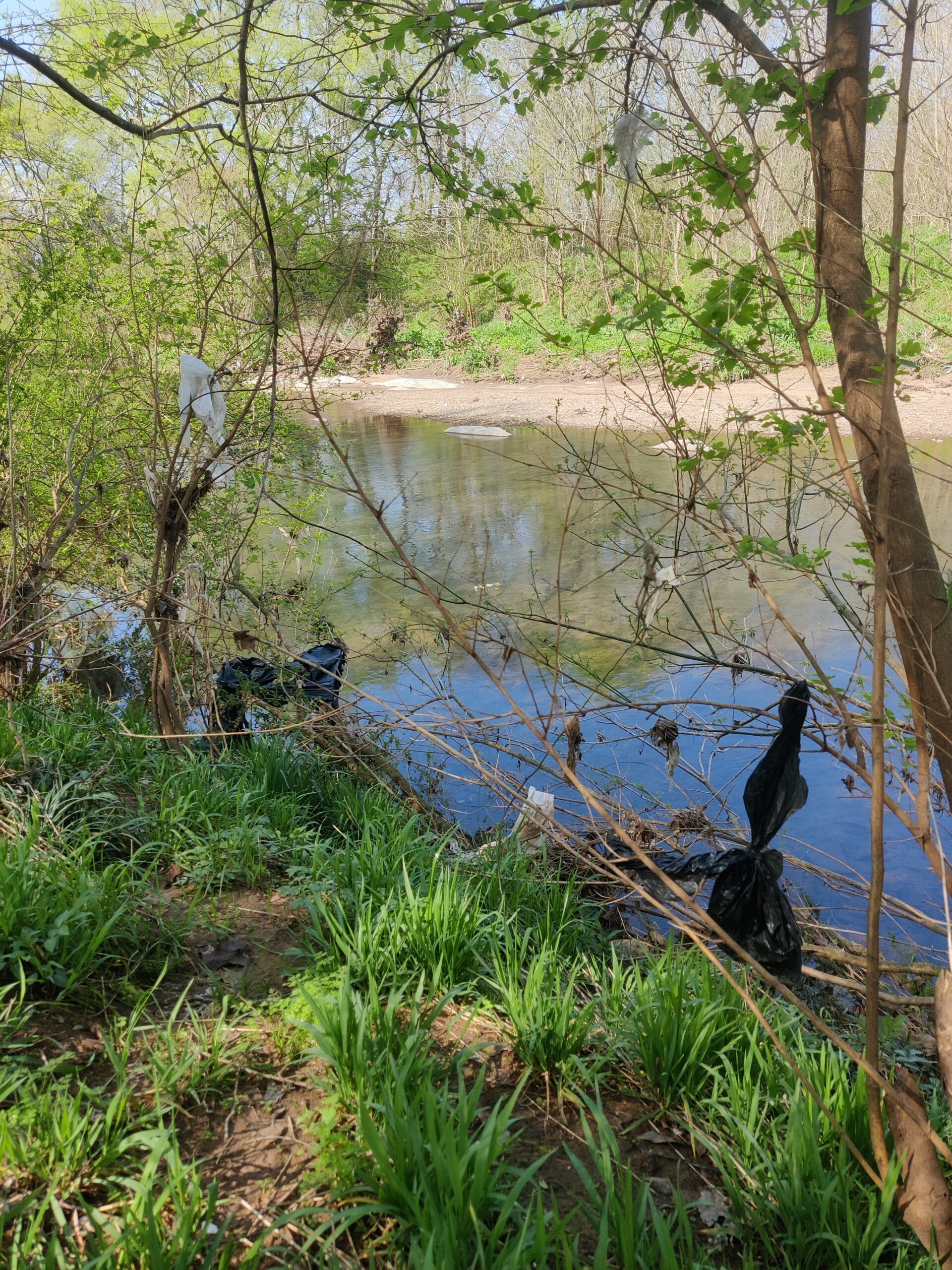 From the Field: highlights from a conservation property - Freshwater ...
