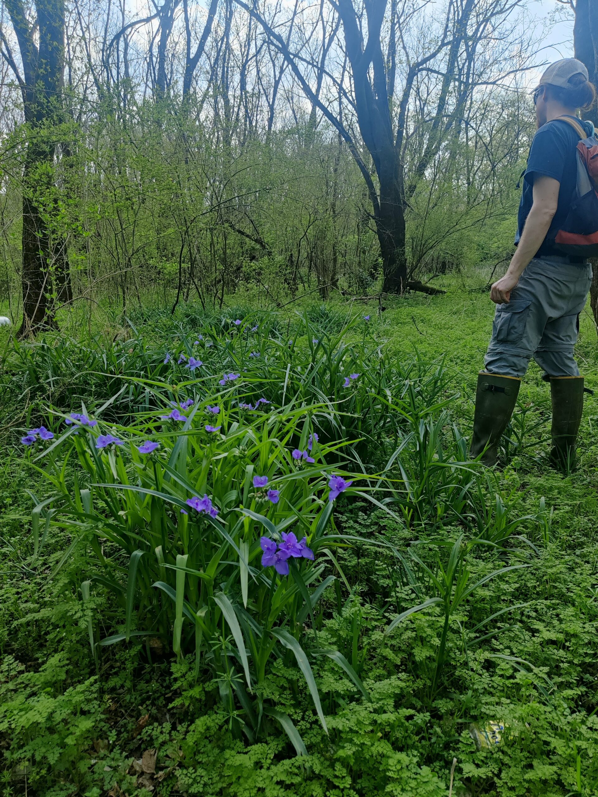 From the Field: highlights from a conservation property - Freshwater ...