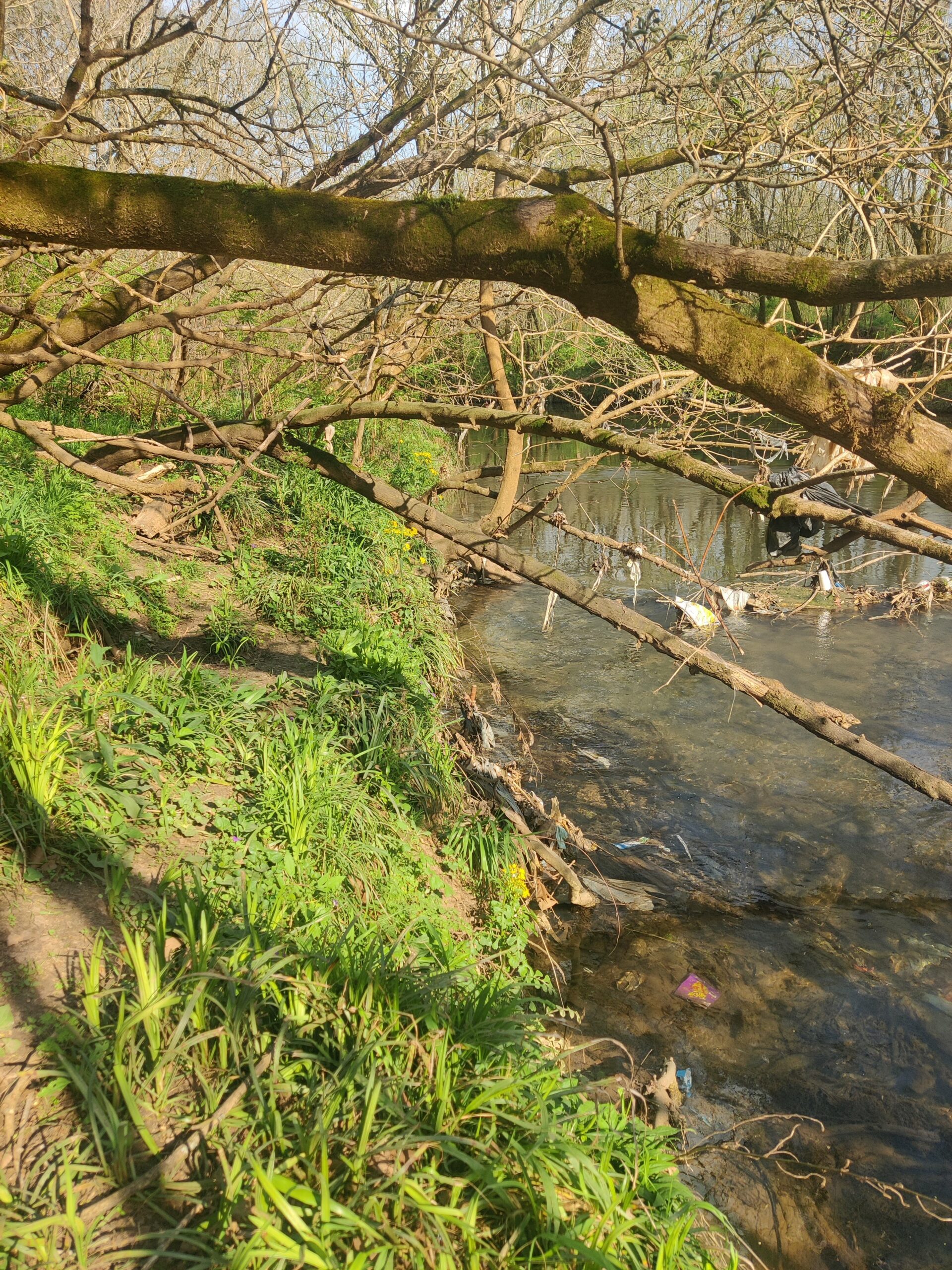 From the Field: highlights from a conservation property - Freshwater ...